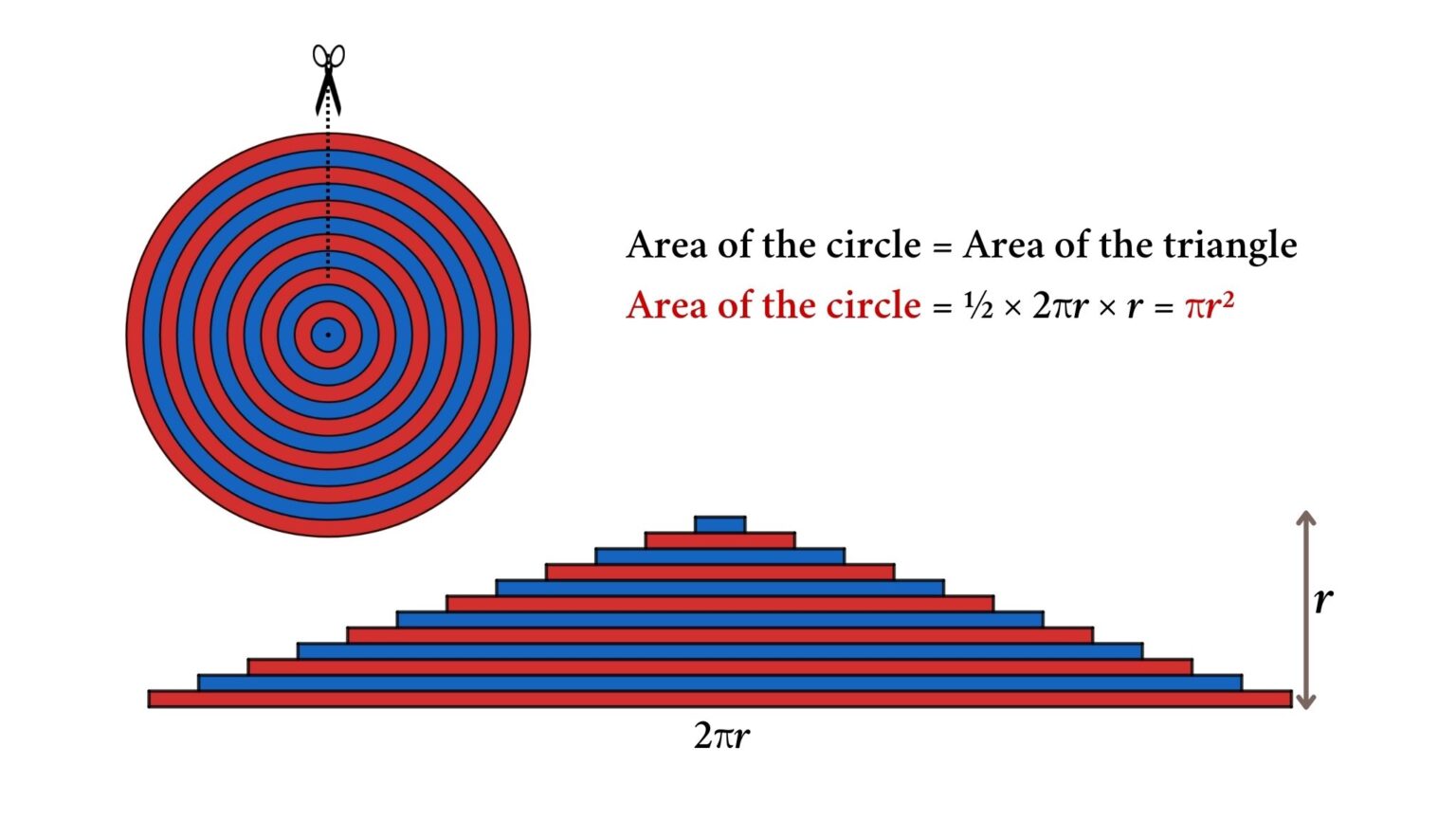 Area and Perimeter of the Circle: Formula and Derivations